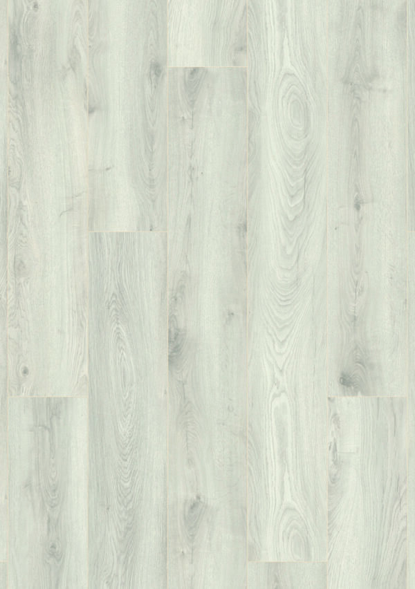 CHANTILLY – Distribuidora trevo S.A.S